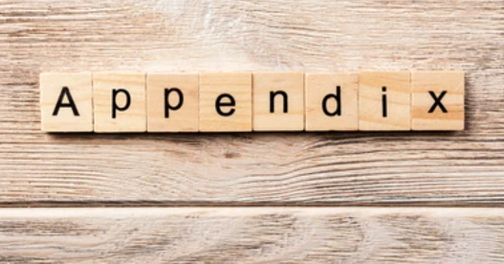 What is an Appendix: Definition & Steps | Egyptian Education